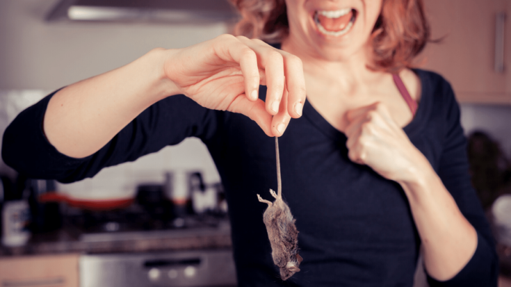 How to Dispose of a Dead Mouse