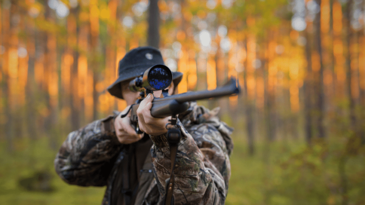 How Strong is a Tiger Compared to a Human?