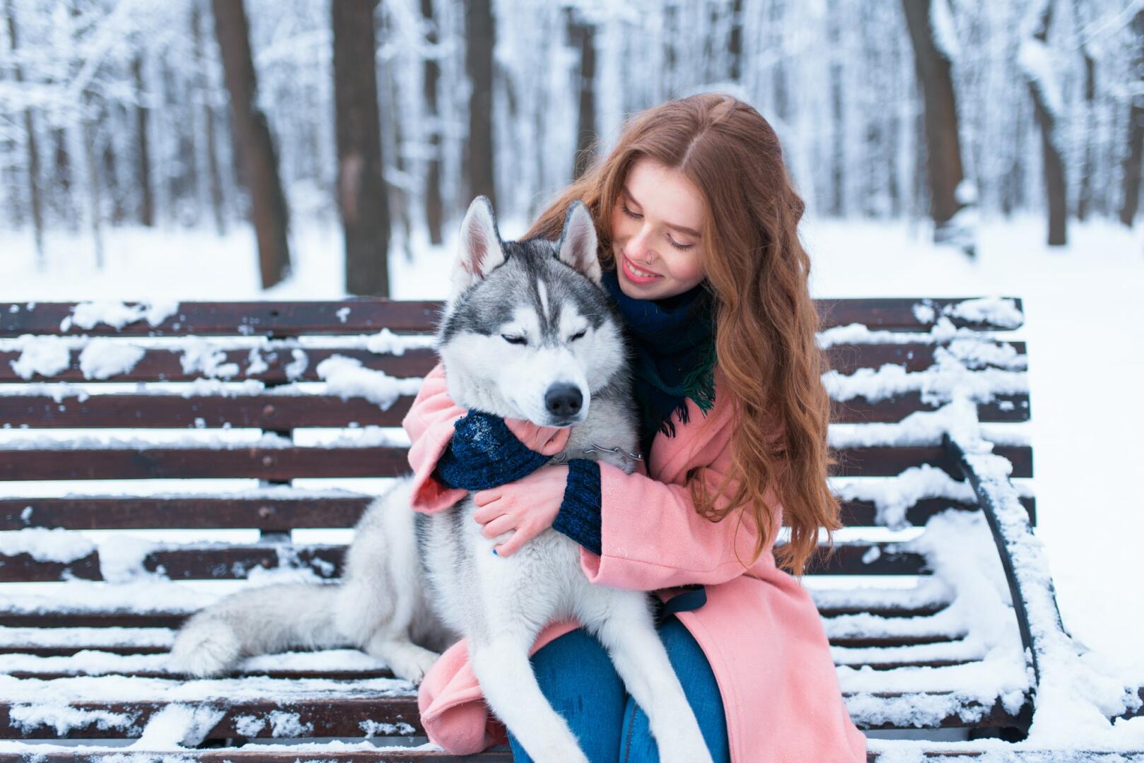 How To Know Your Husky Loves You — The #1 Signs To Know!